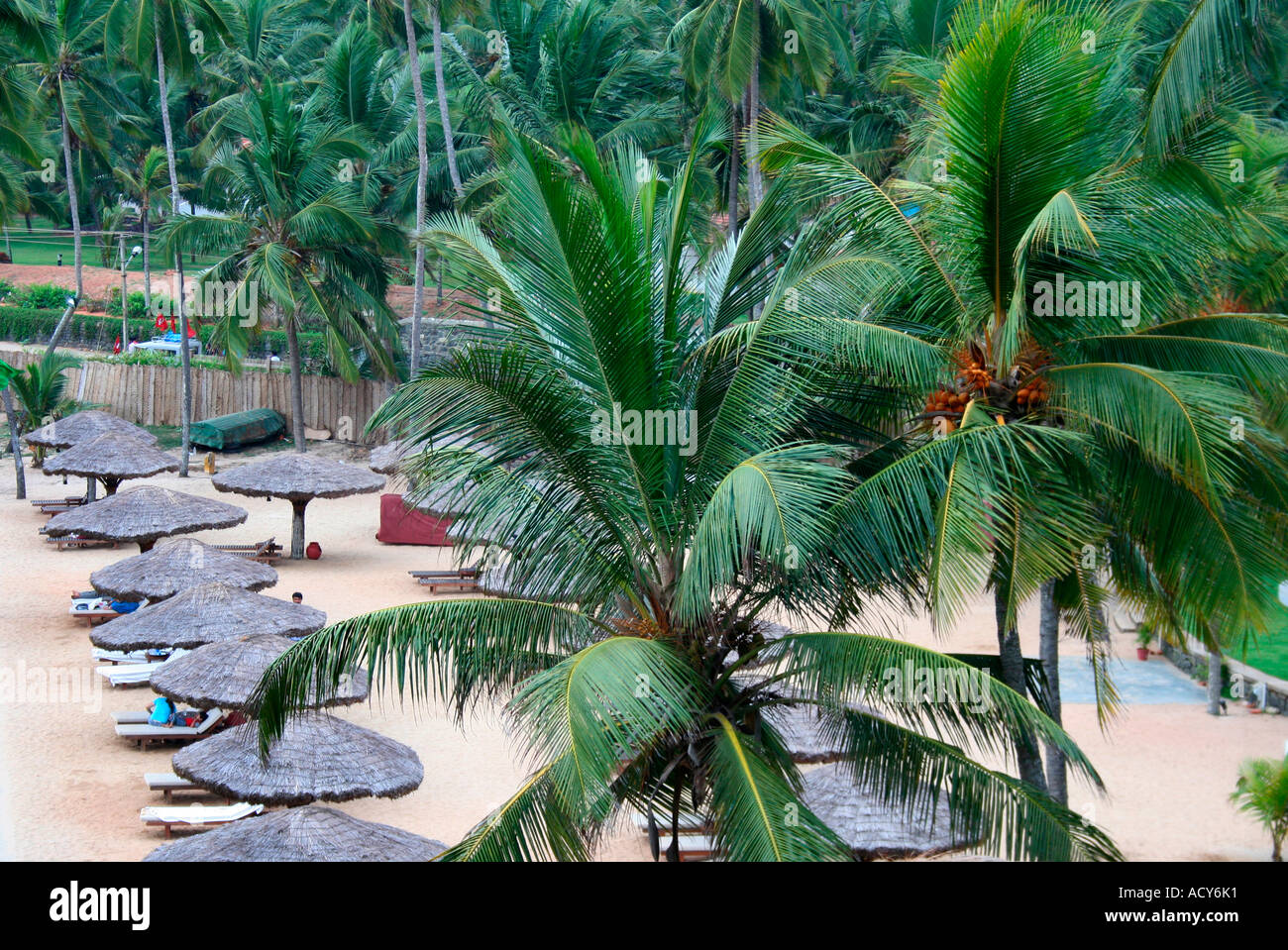 Aerial view of shaded lounge chairs at Kovalam Stock Photo - Alamy