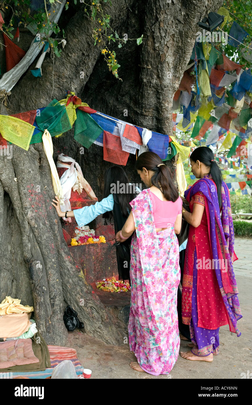 Women praying in front of the sacred Bodhi Tree.Lumbini.Birthplace of ...