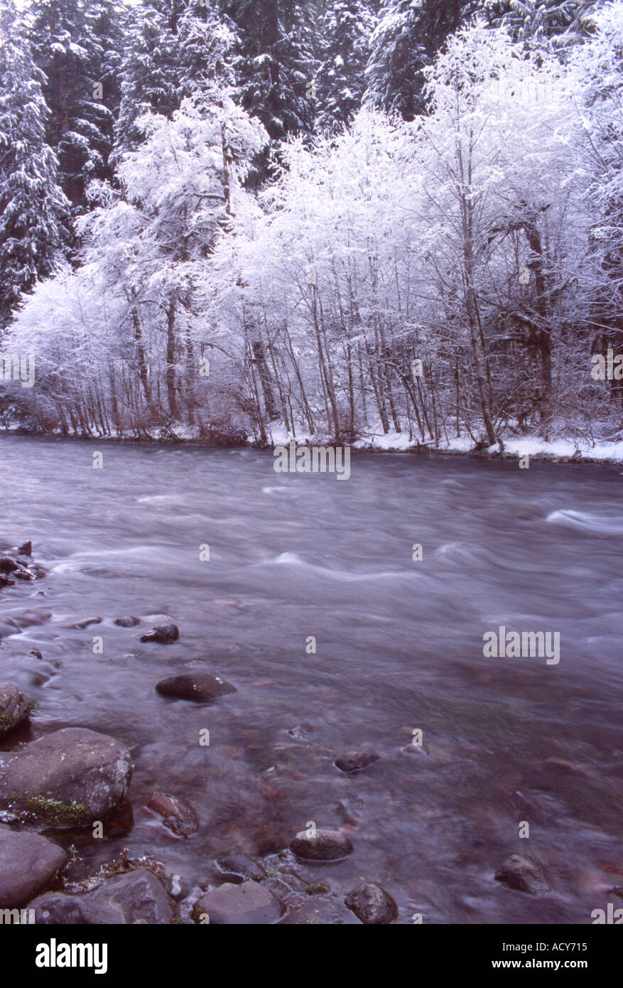 North fork mckenzie river hi-res stock photography and images - Alamy