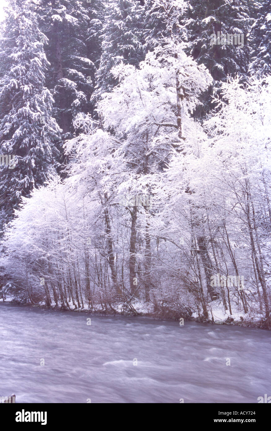 North fork mckenzie river hi-res stock photography and images - Alamy
