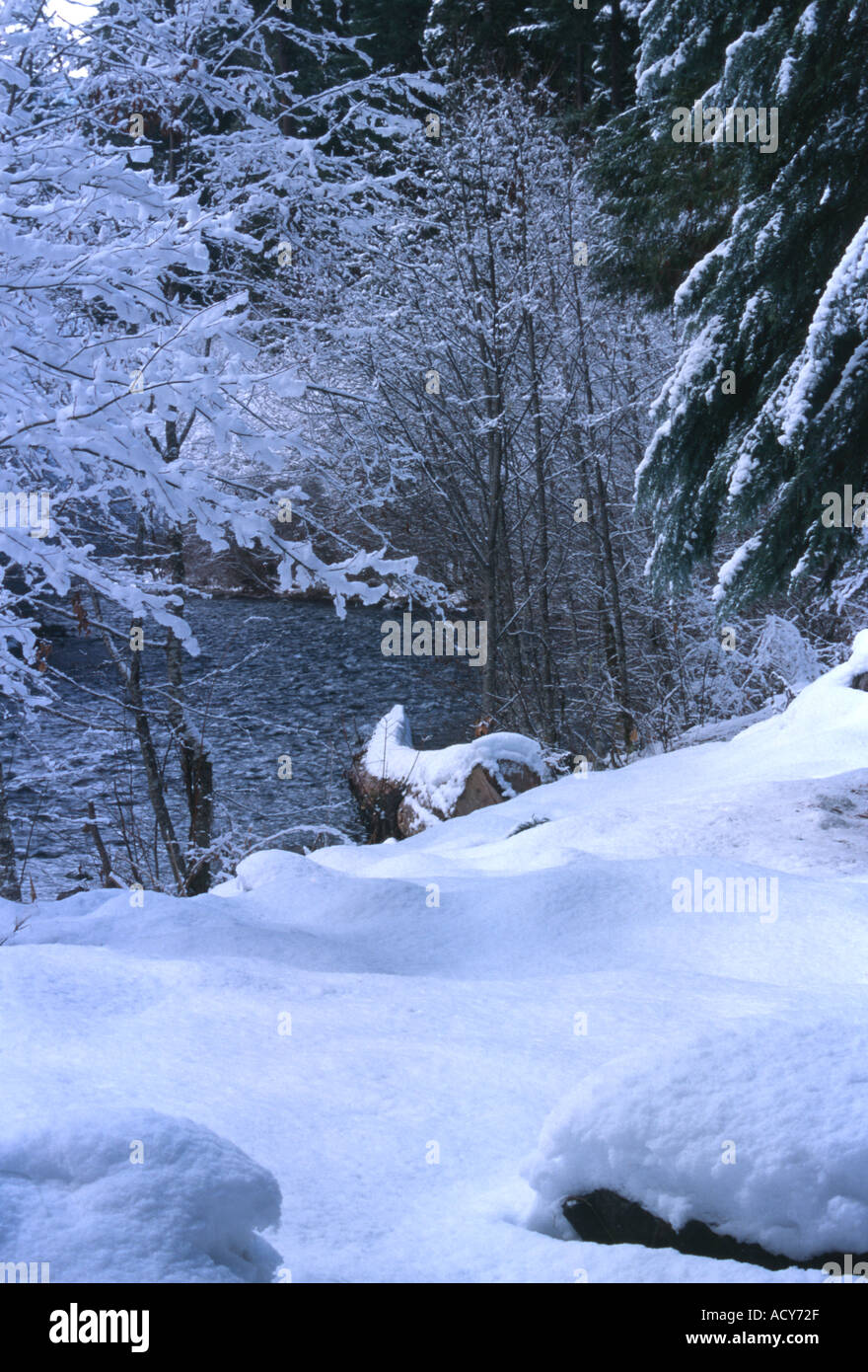 South fork willamette hi-res stock photography and images - Alamy