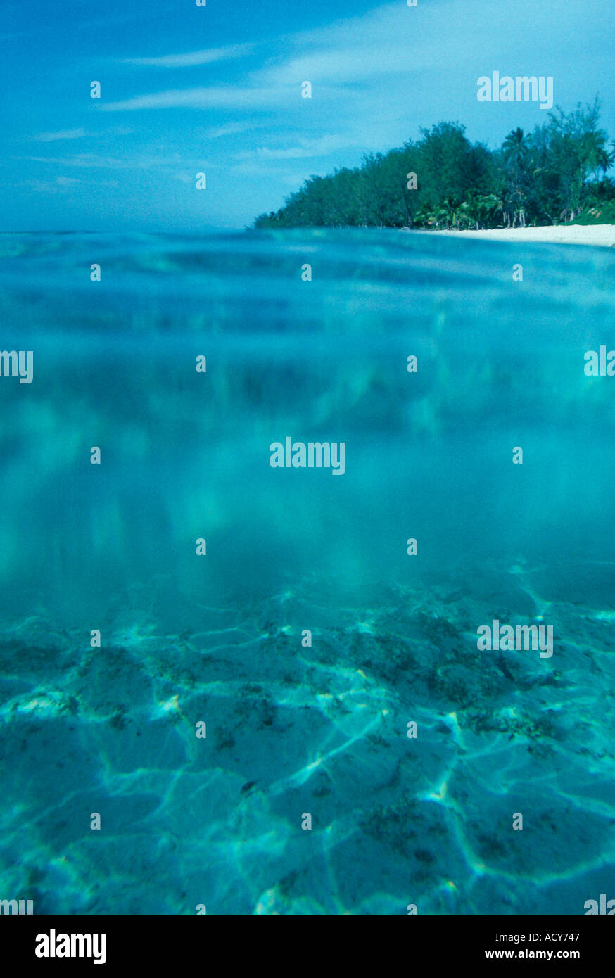 split over and underwater shot showing lagoon bottom water surface and ...