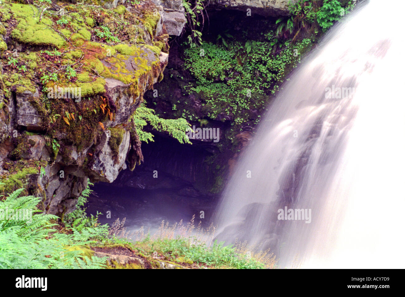 Nooksack falls hi-res stock photography and images - Alamy