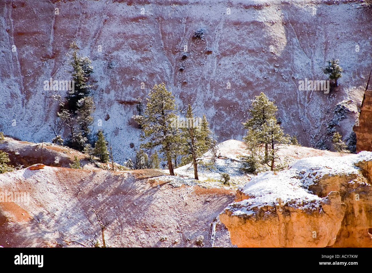 A picture illustrating some of the many of the features of Bryce Canyon ...