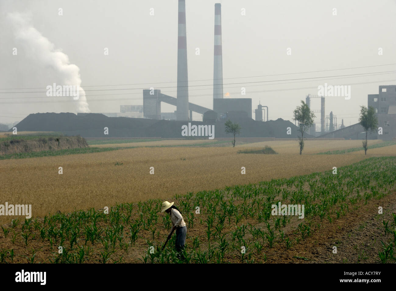 Chinese works factory hi-res stock photography and images - Alamy