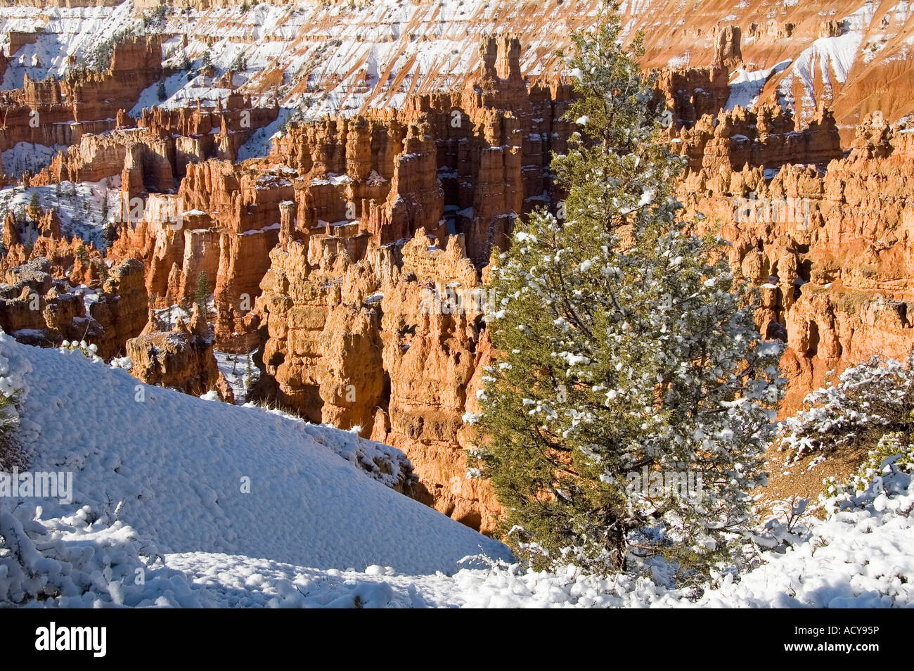 A picture illustrating some of the many of the features of Bryce Canyon ...