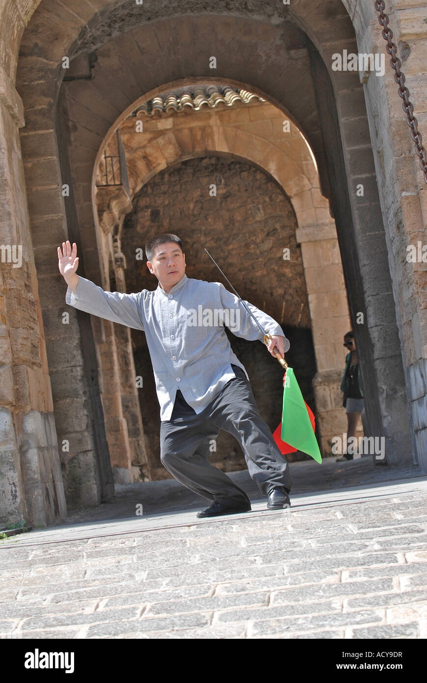 Portrait of Fu Qing Quan Master and authentic descendant of Yang Tai ...