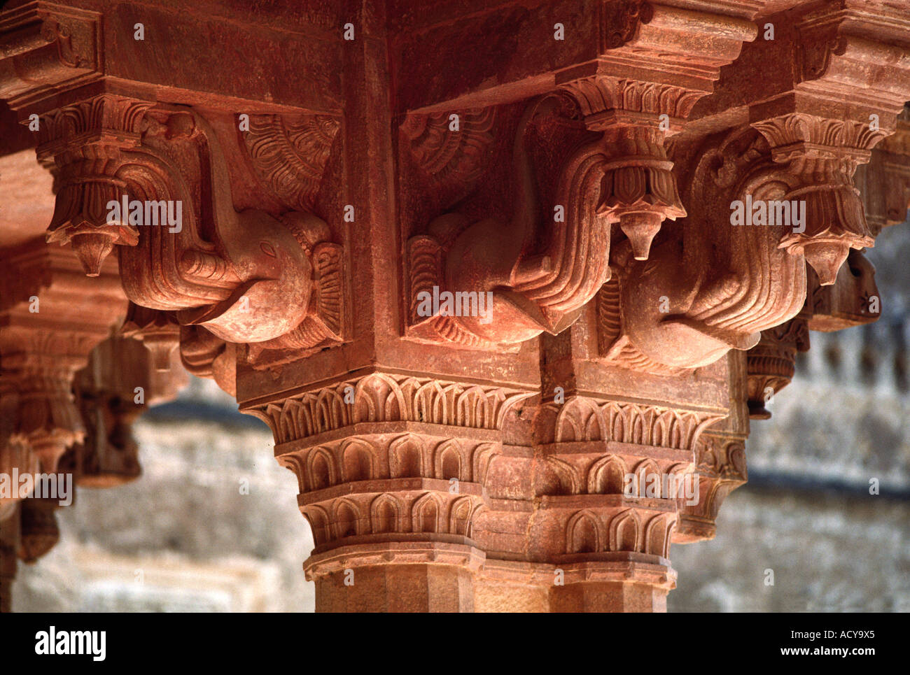 Detail of STONE CARVED ELEPHANTS at the head of a COLUMN at the AMBER ...