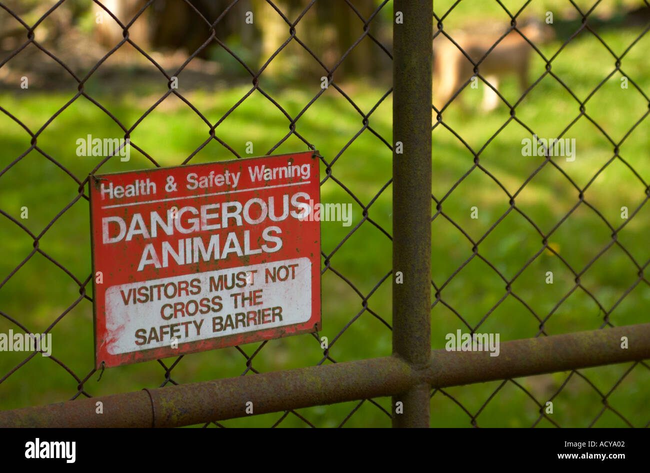 Dangerous Animals warning sign with big cat in background Stock Photo ...
