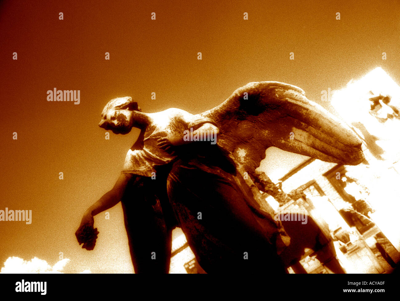 Angel Statue Cemetery Italy Stock Photo - Alamy