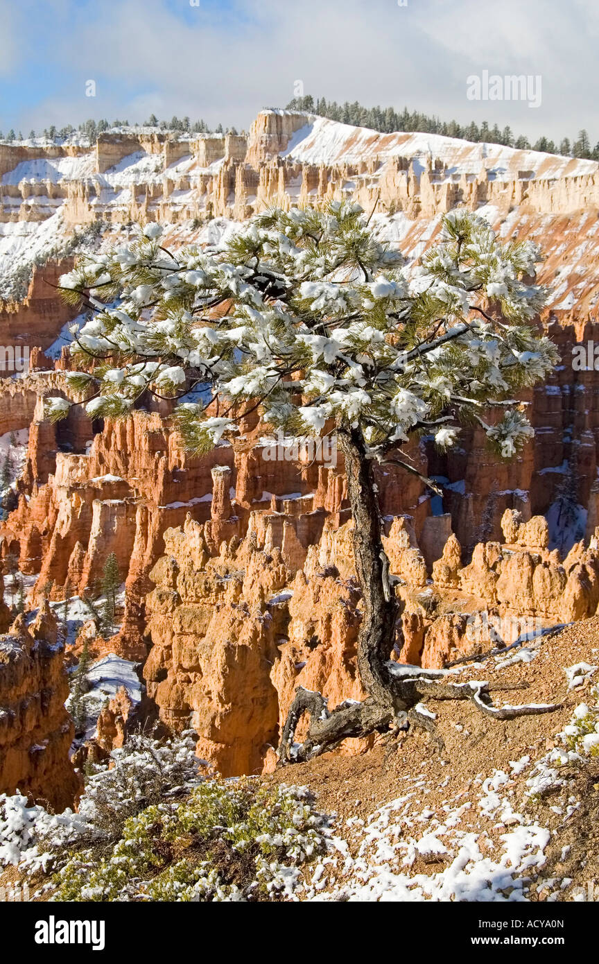 A picture illustrating some of the many of the features of Bryce Canyon ...