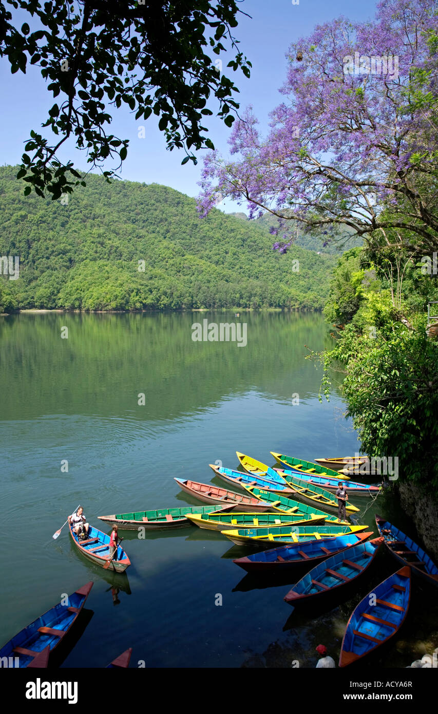 Shoreline of phewa lake hi-res stock photography and images - Alamy