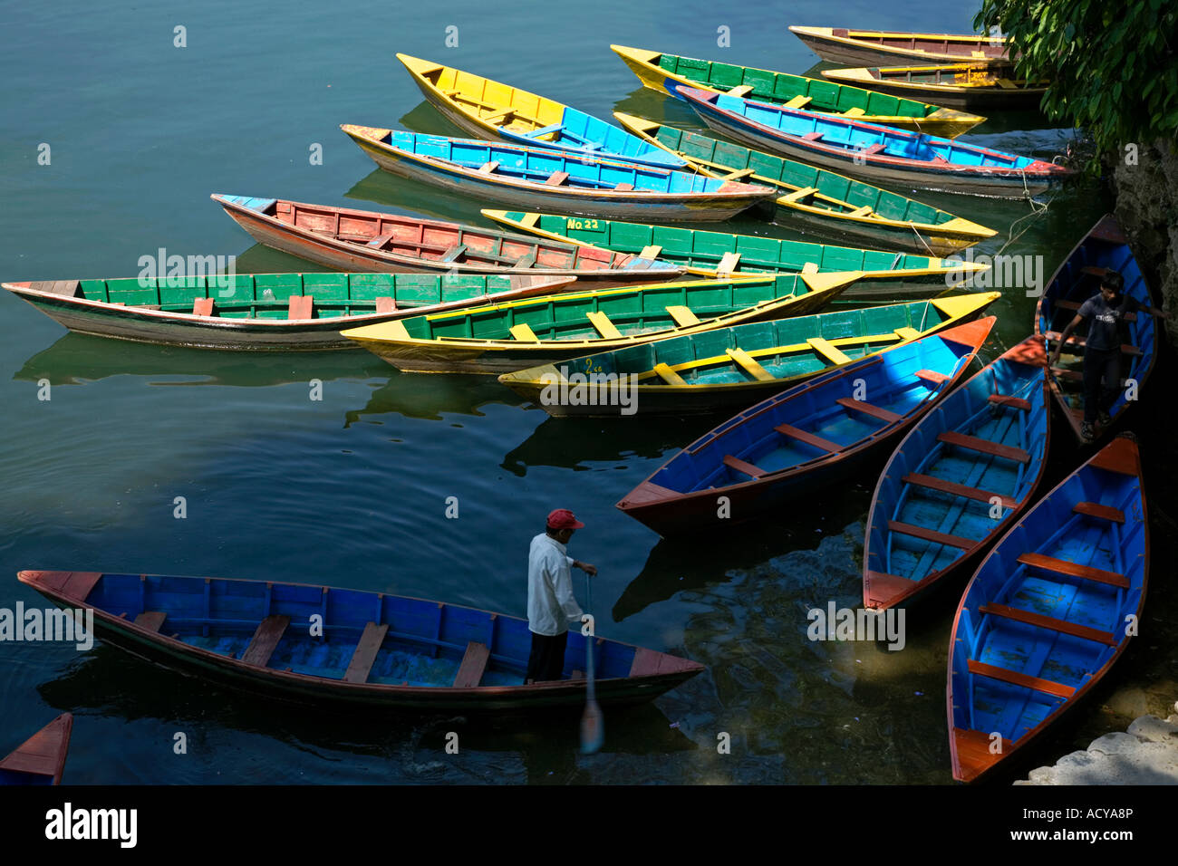 Boats on Phewa Lake.Pokhara.Nepal Stock Photo - Alamy