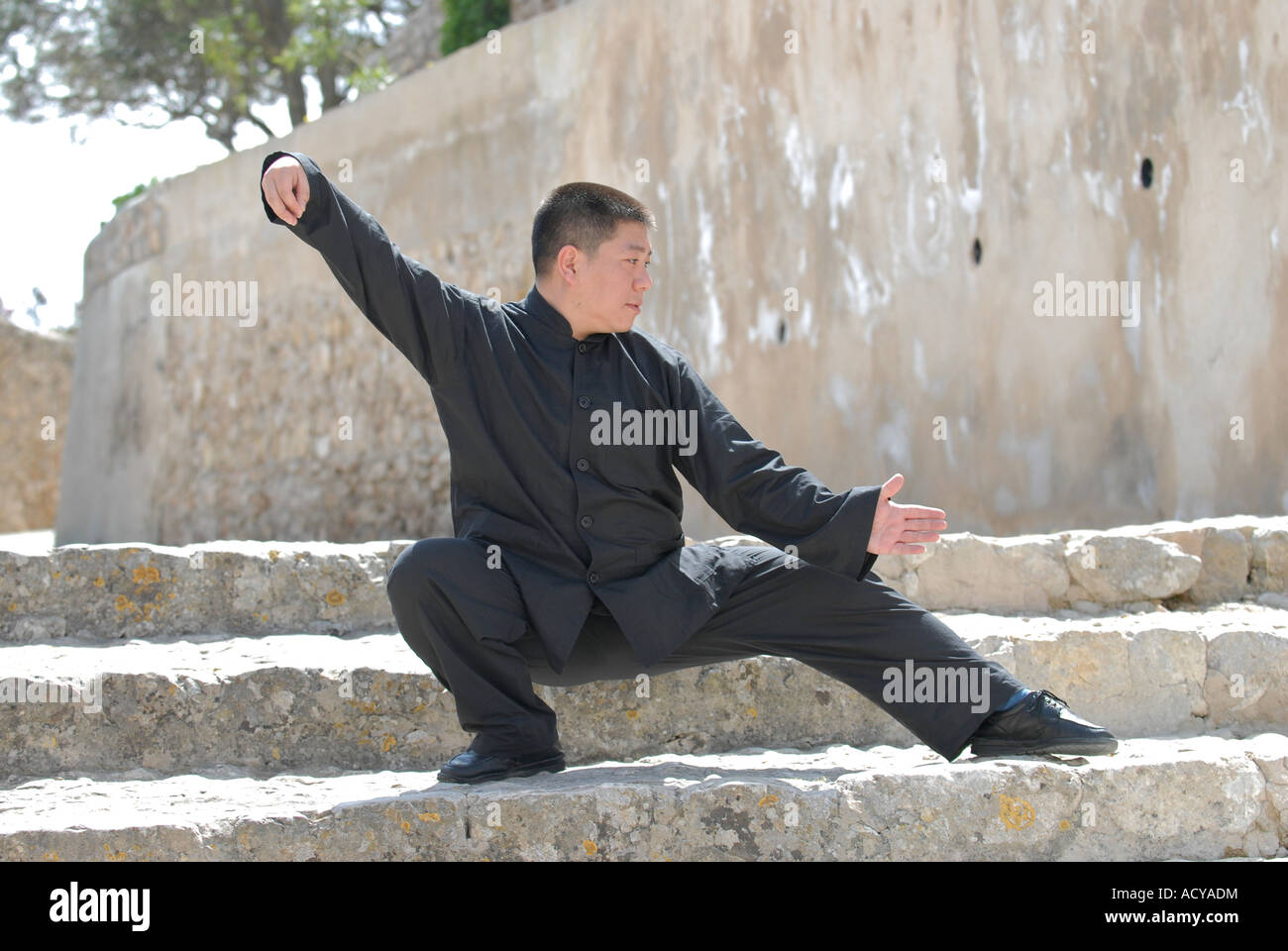 Portrait of Fu Qing Quan Master and authentic descendant of Yang Tai ...