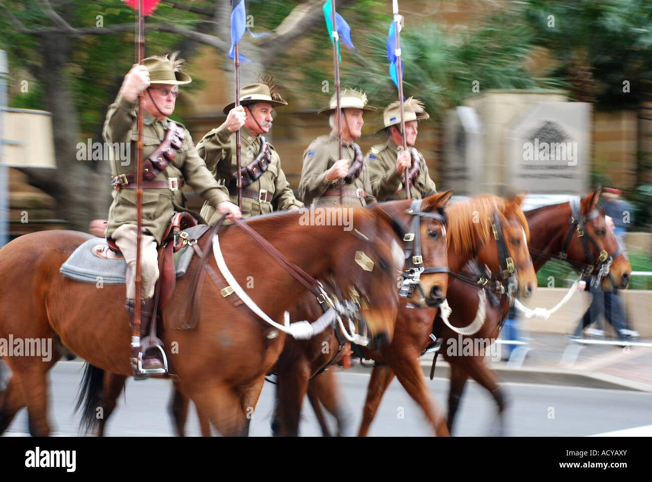 AUSTRALIAN RESERVE CAVALRY PARADE MACQUARIE STREET SYDNEY Stock Photo ...
