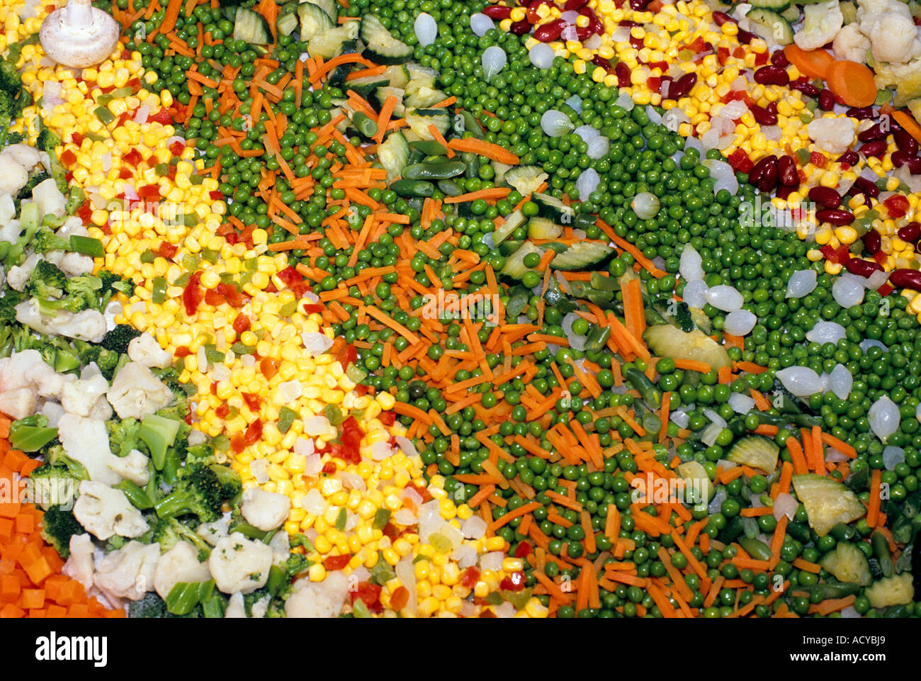 Rows of mixed vegetables Stock Photo - Alamy