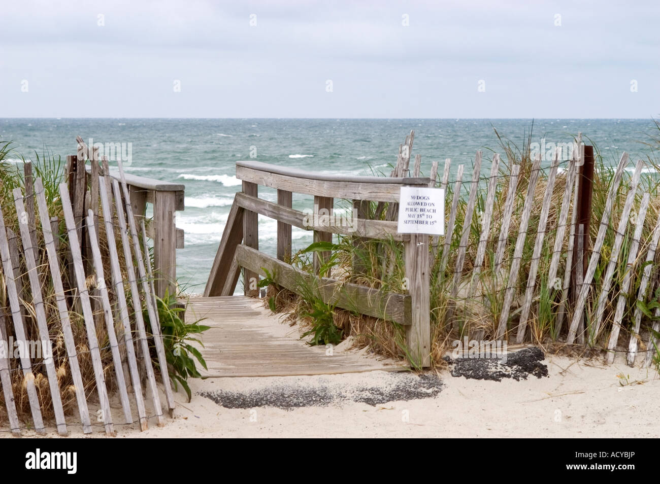Sandy neck cape cod hi-res stock photography and images - Alamy