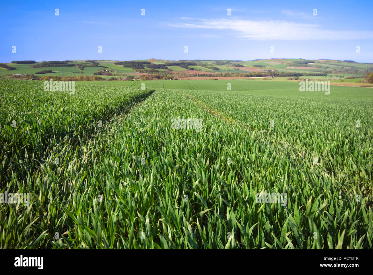Farm Fields, Fife, Scotland Stock Photo - Alamy