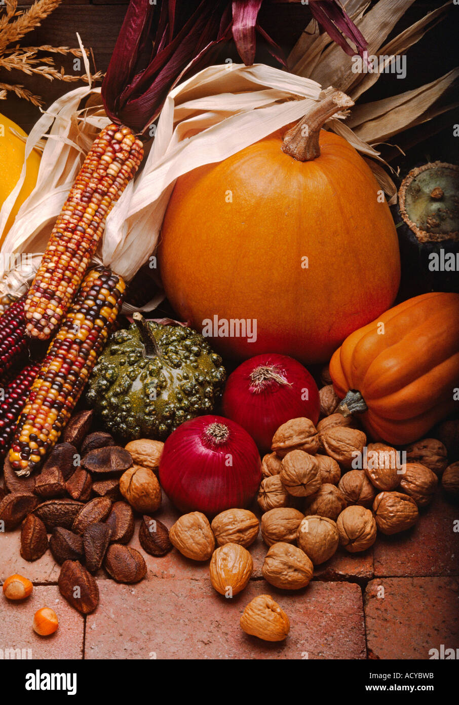 Fall harvest of PUMPKINS GOURDS ONIONS SQUASH INDIAN CORN mixed NUTS ...