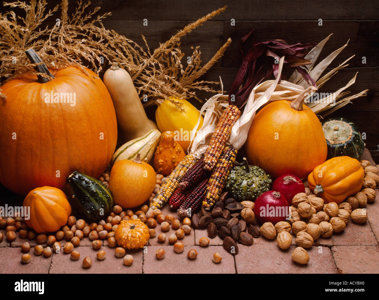 Fall harvest of PUMPKINS GOURDS ONIONS SQUASH INDIAN CORN mixed NUTS ...
