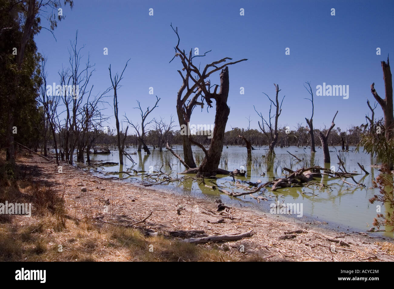 Lake near Dubbo Australia Stock Photo - Alamy