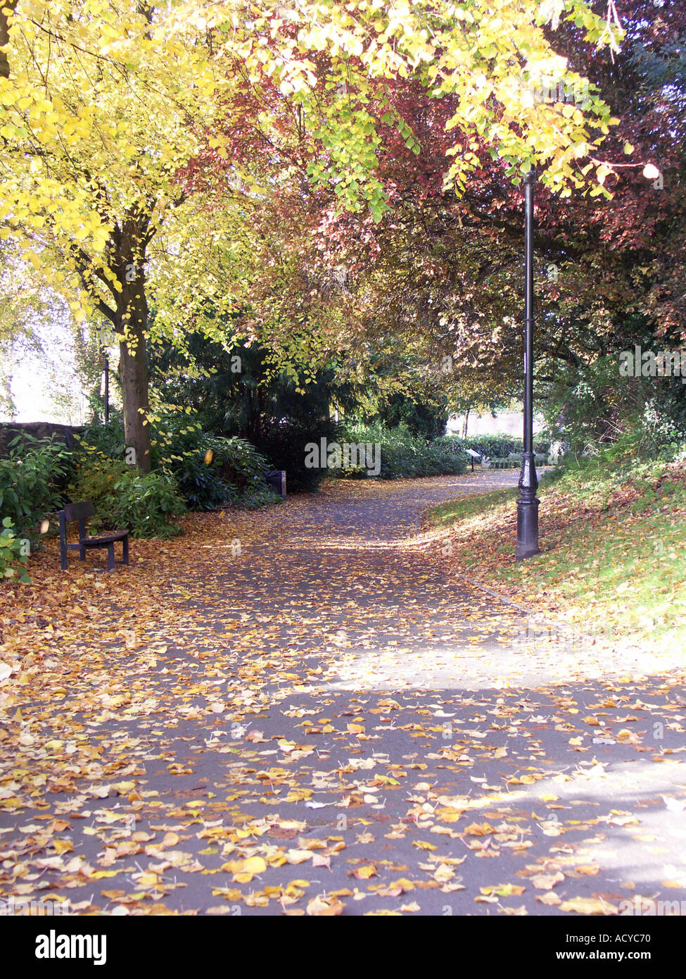 Autumn Leaves on Path Stock Photo - Alamy