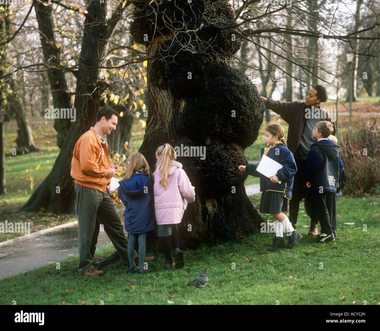 Pupils and teachers on nature walk at junior school hi-res stock ...