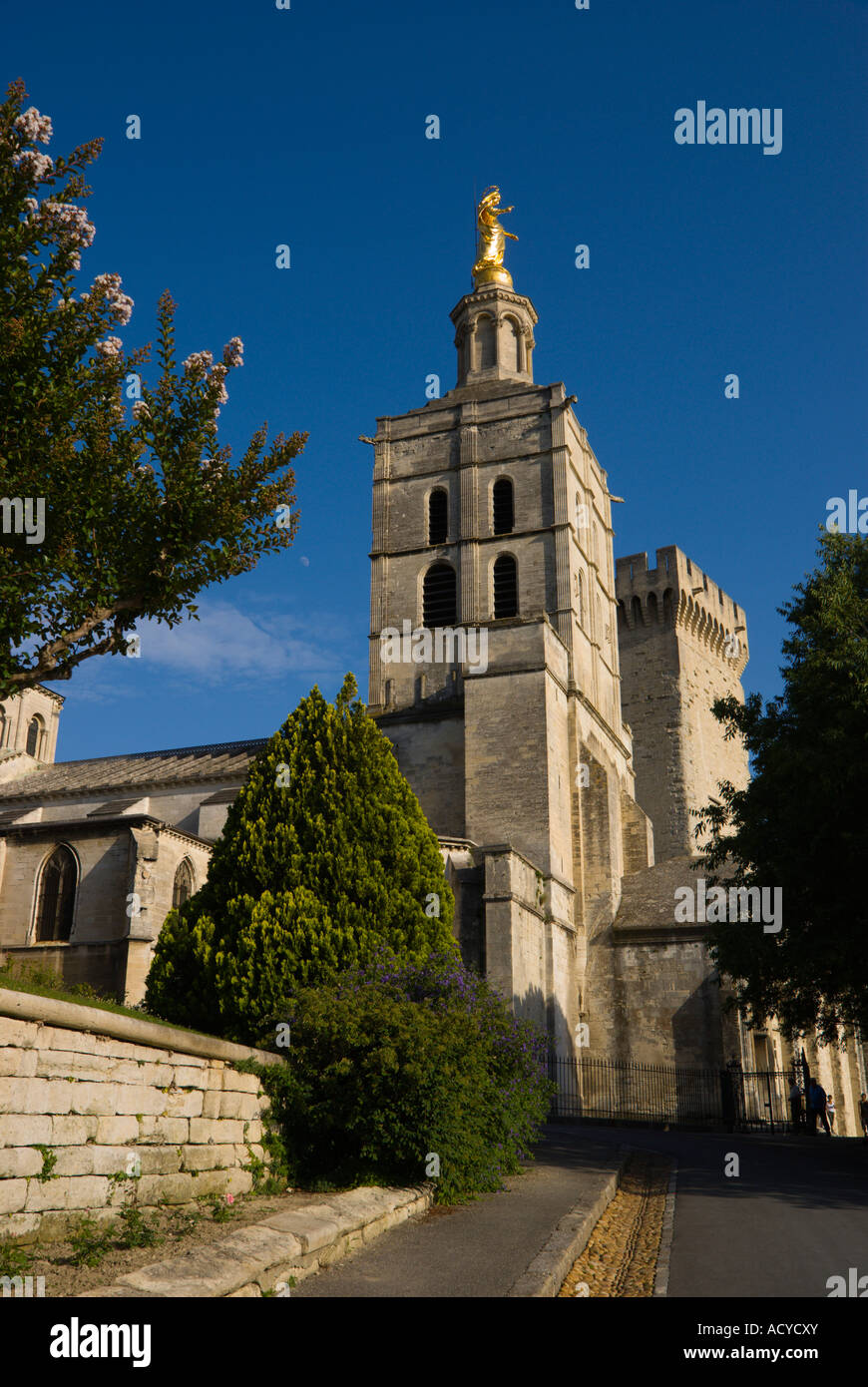 Avignon France cathedral Nôtre Dame des Doms Stock Photo - Alamy