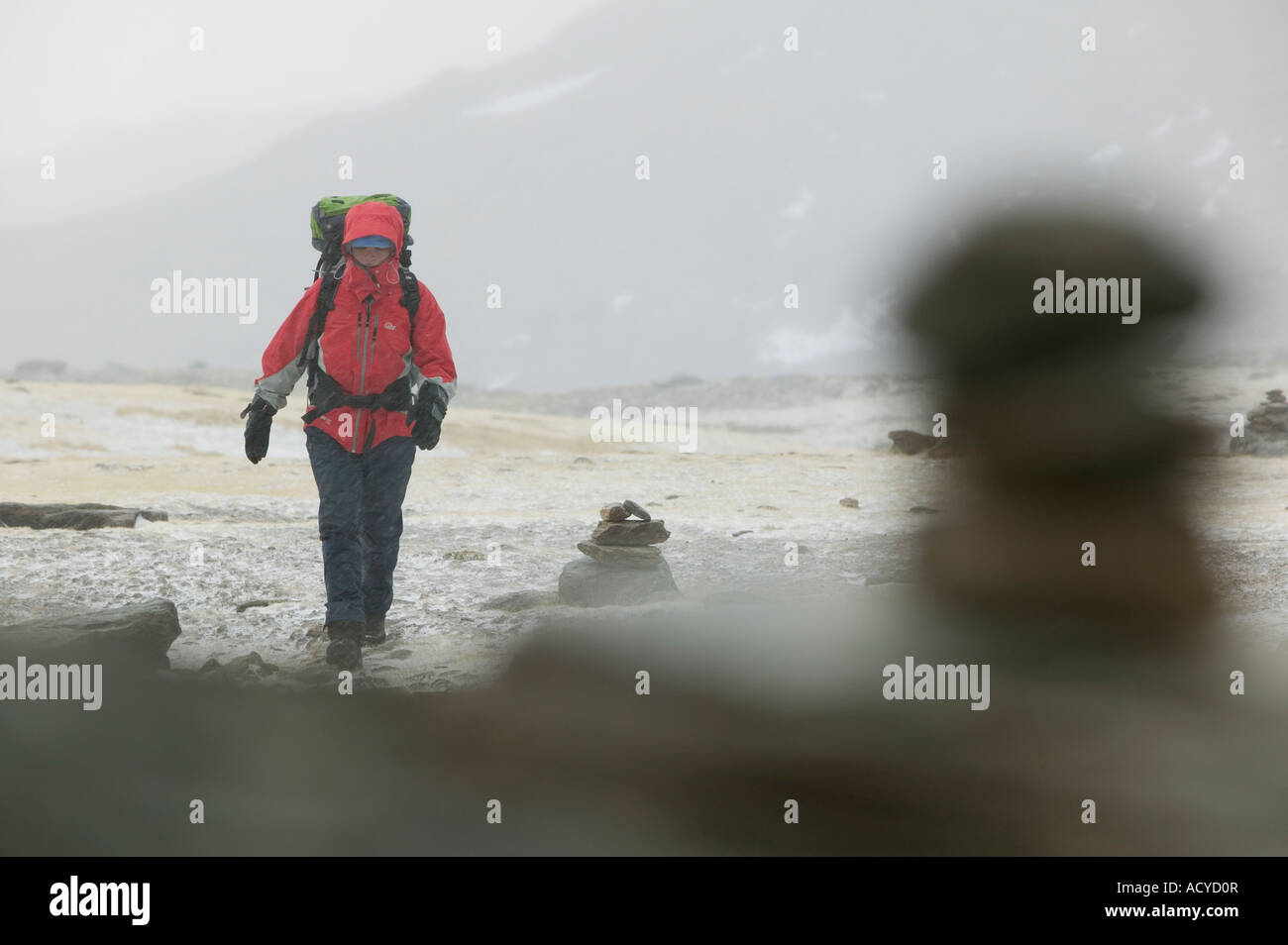 Sierra snowstorm hi-res stock photography and images - Alamy