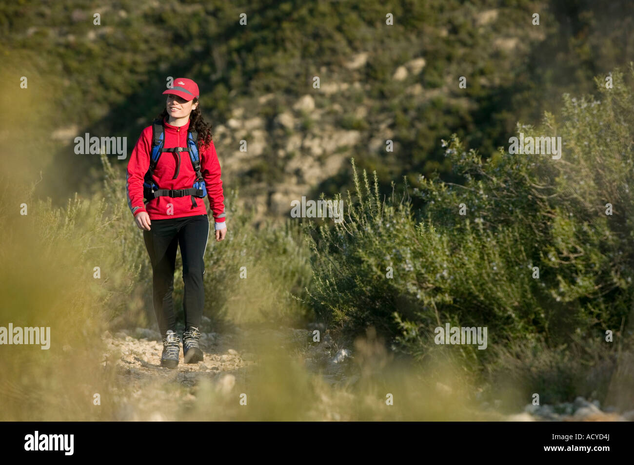 Female hiking through brush Stock Photo - Alamy