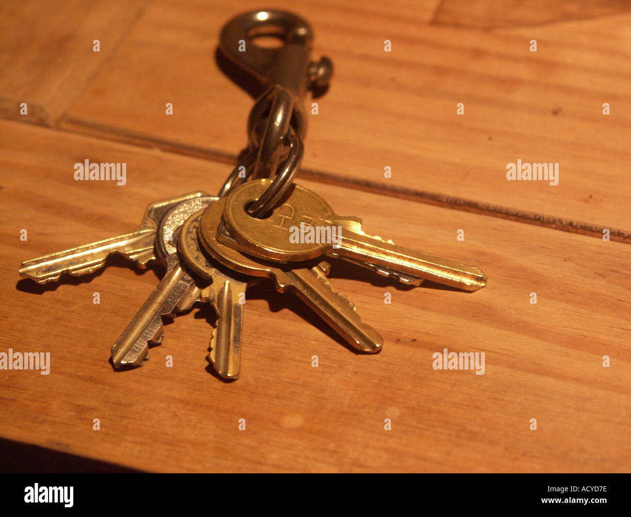 Bunch of keys Stock Photo - Alamy