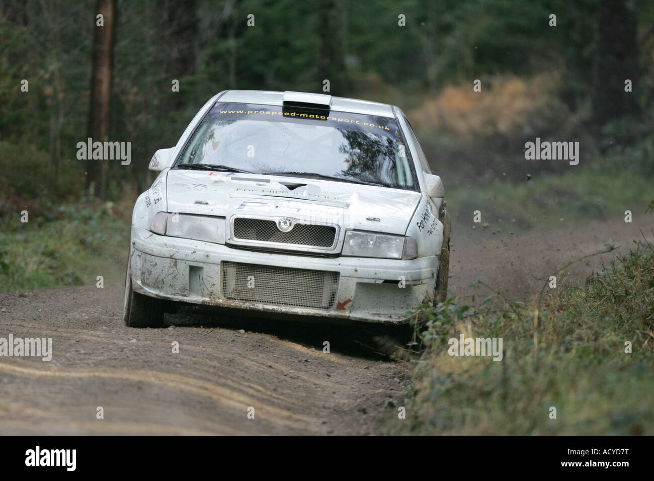 Surely not a Skoda Stock Photo - Alamy