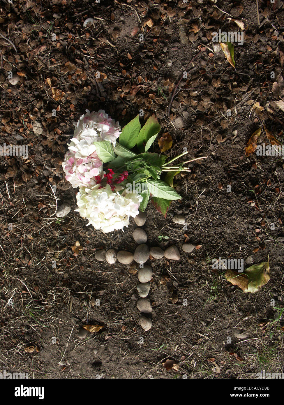 Pet grave woods hi-res stock photography and images - Alamy