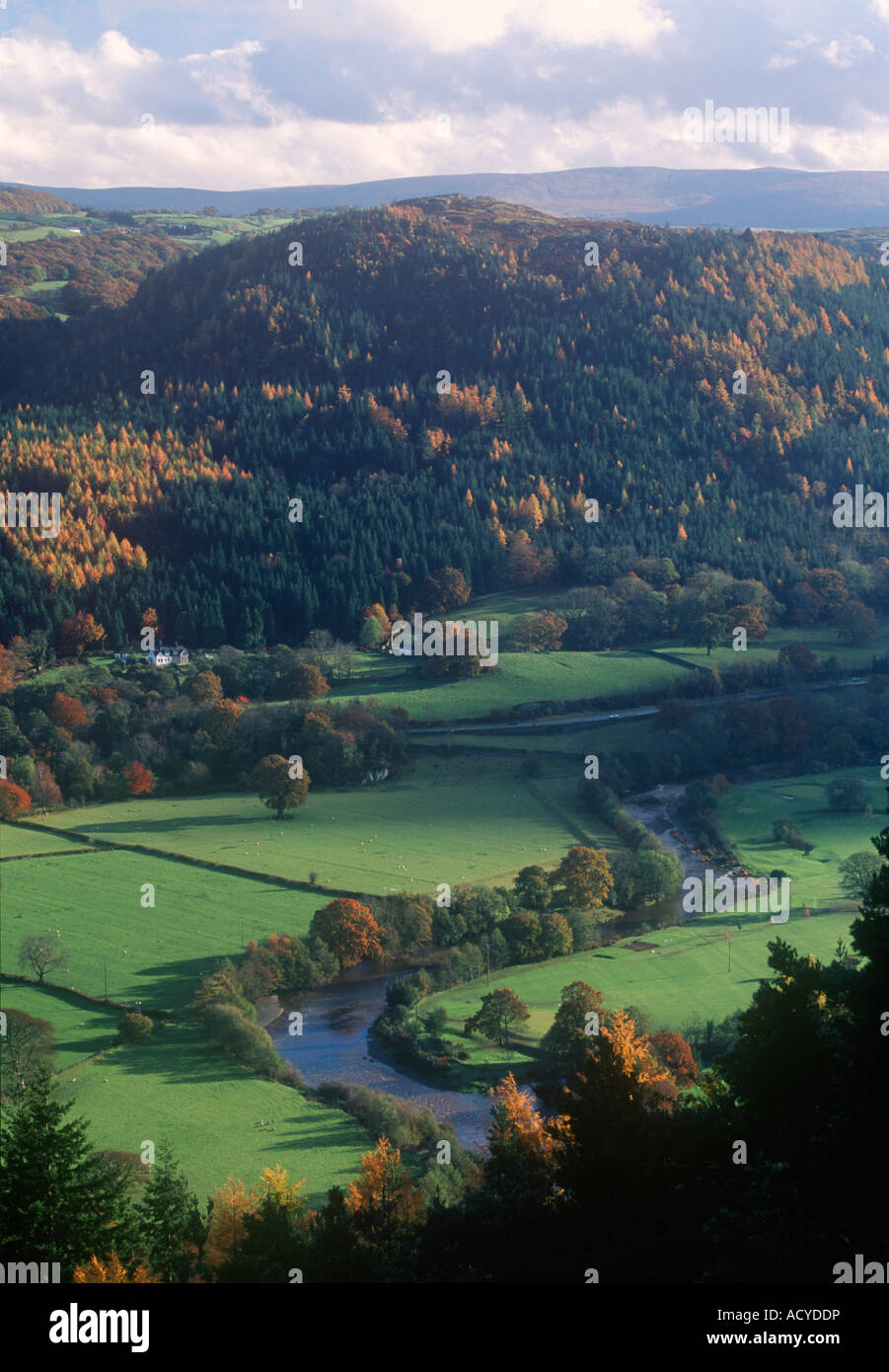Fields near conwy wales hi-res stock photography and images - Alamy