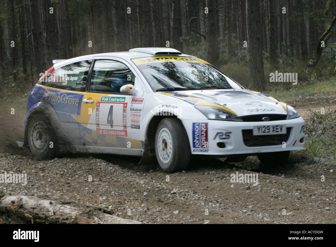 Forest Ford Focus Stock Photo - Alamy