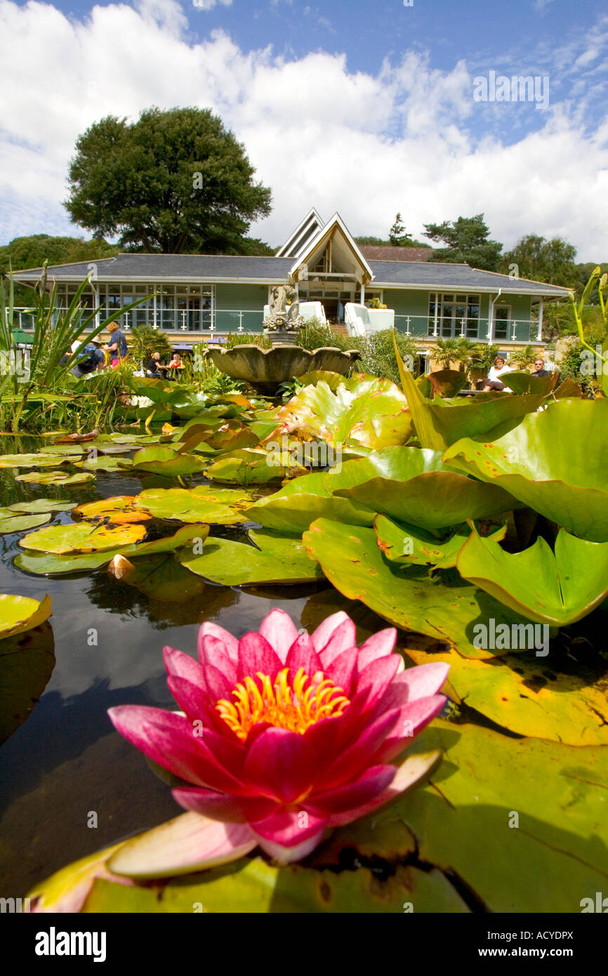 Flower Beds and Boarders Botanical Gardens Flowers Ventnor Isle of ...