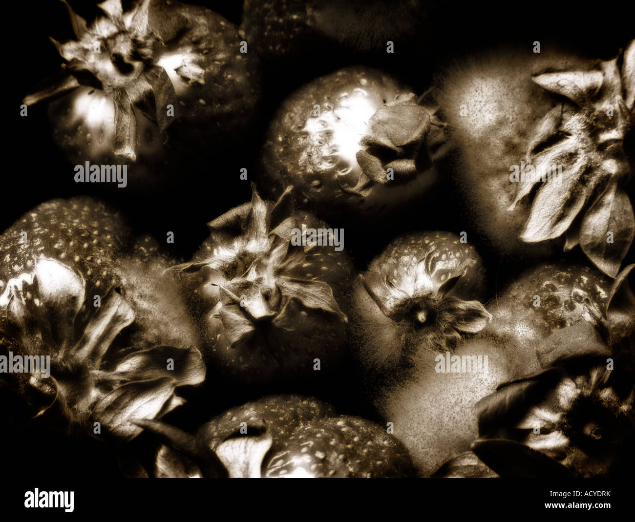 Unserviciable hi-res stock photography and images - Alamy