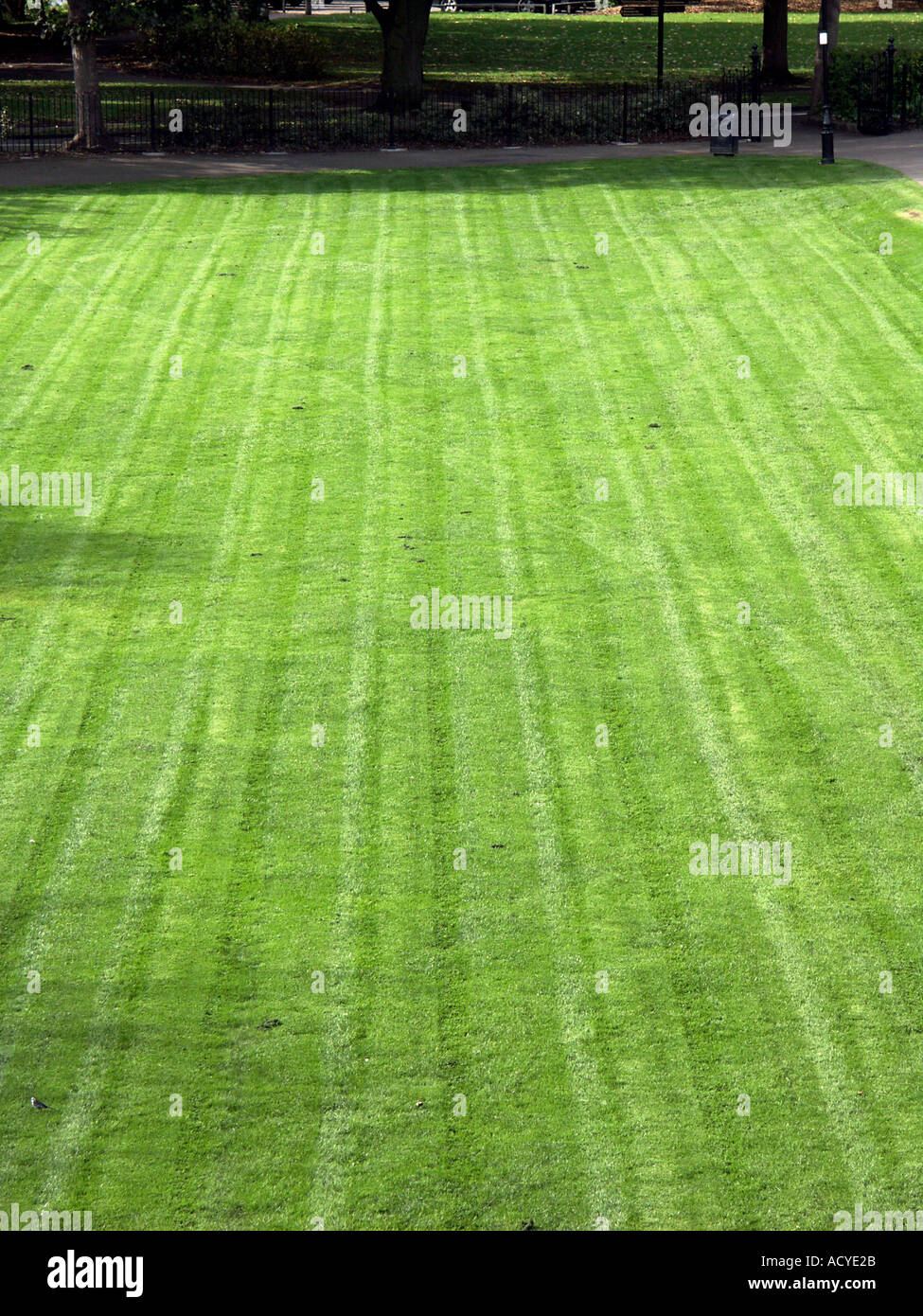 Striped Lawn in Tamworth castle grounds Stock Photo - Alamy