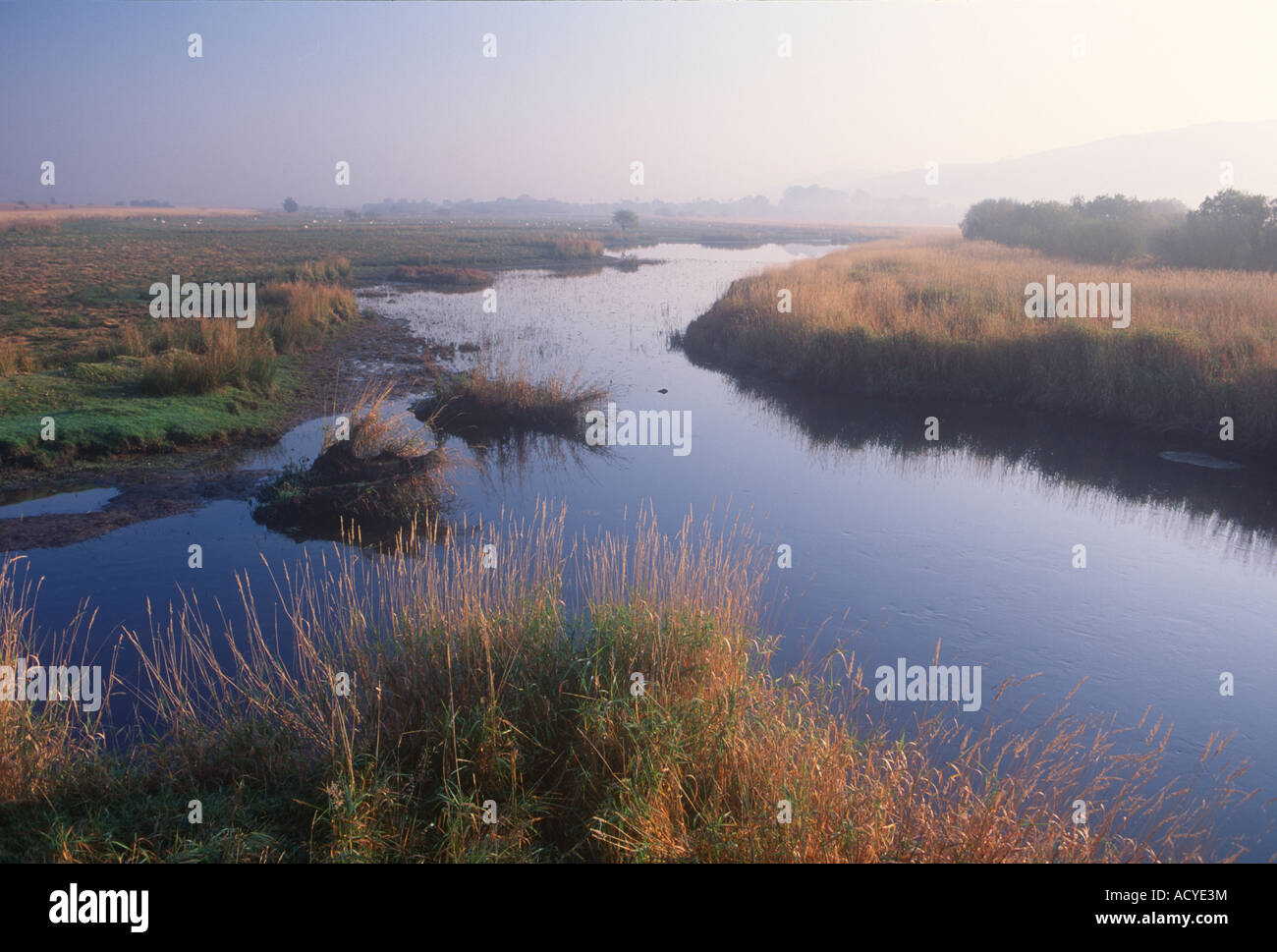 Cors caron reserve hi-res stock photography and images - Alamy