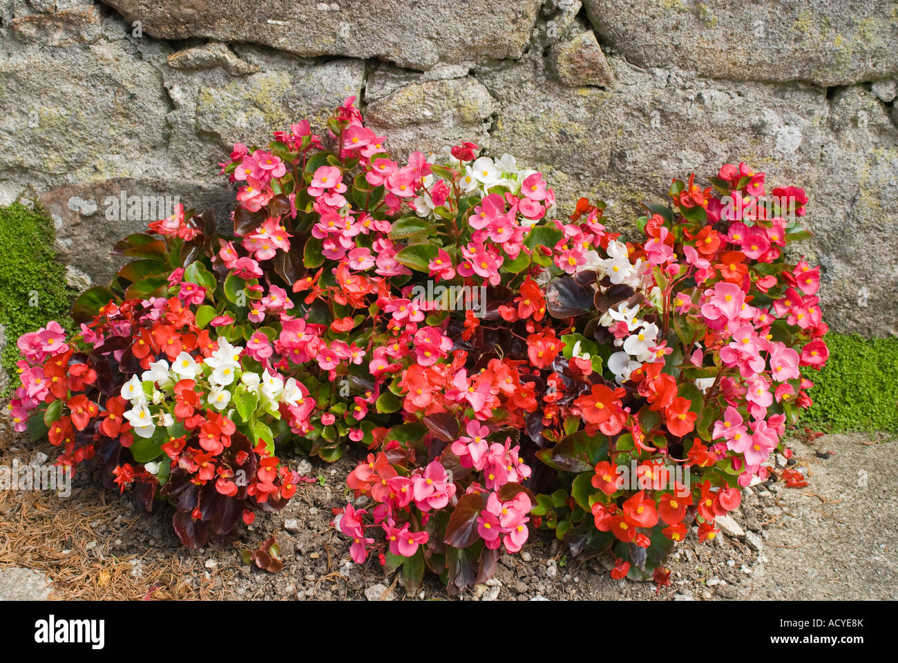 Cornwall colourful granite hi-res stock photography and images - Alamy