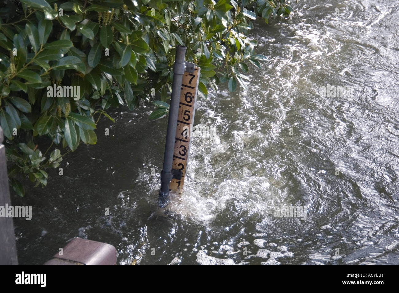 Measuring stick in River Lea in full spate, Wheathampstead ...