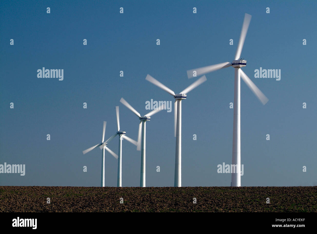Blood farm Hemsby Norfolk England Stock Photo - Alamy
