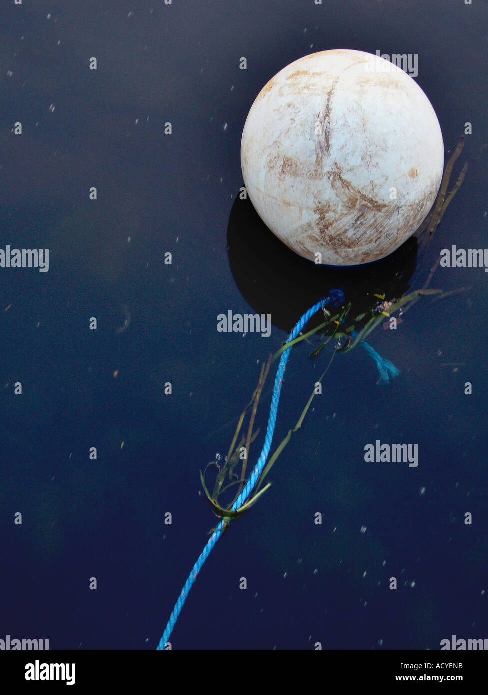 bouy floating in river Stock Photo - Alamy