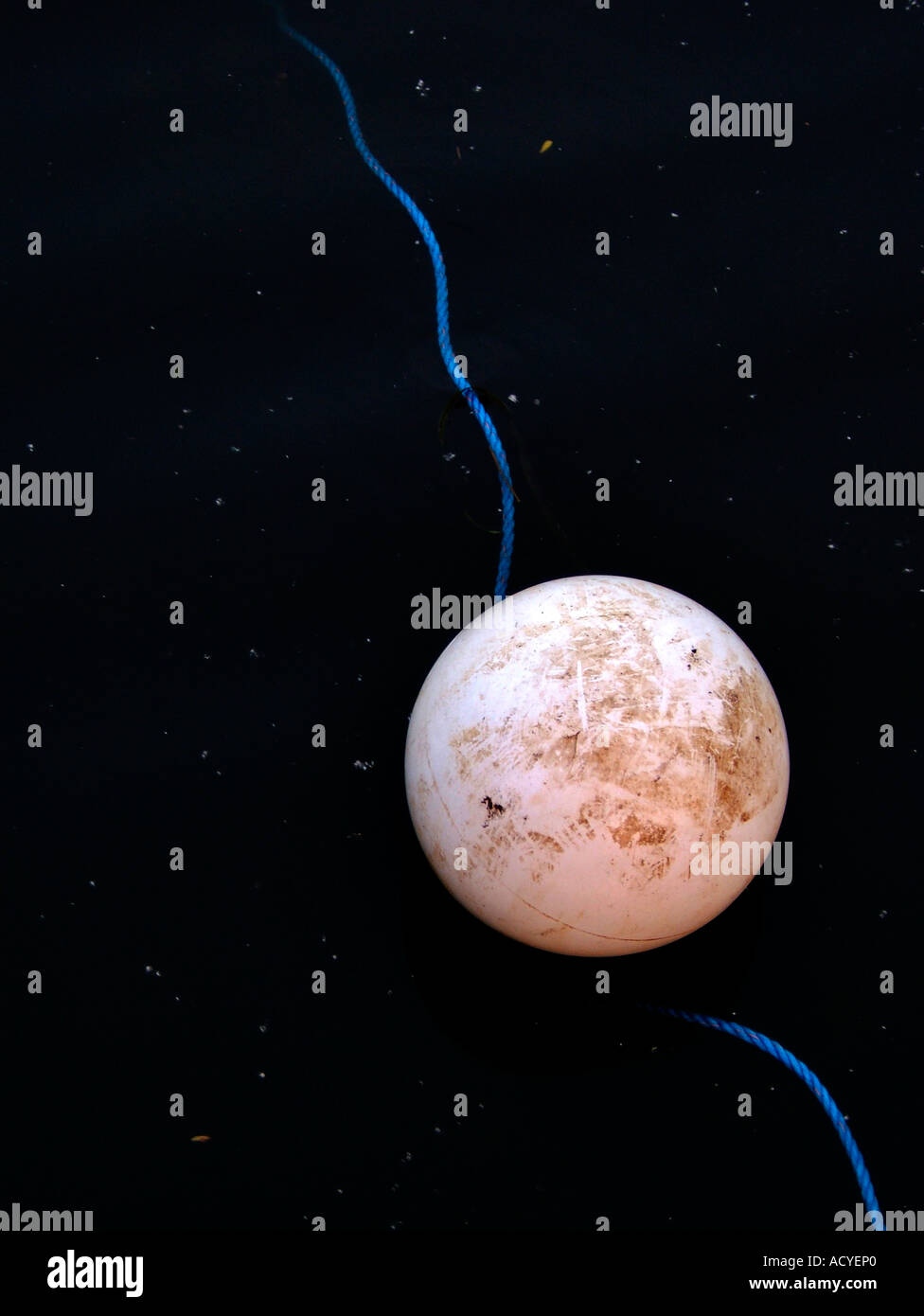 bouy floating in river Stock Photo - Alamy