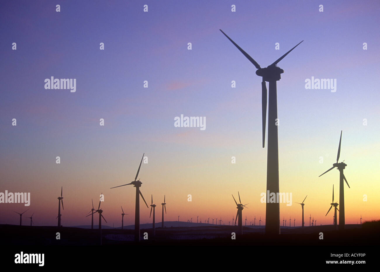 Wind Farm at sunset Stock Photo - Alamy