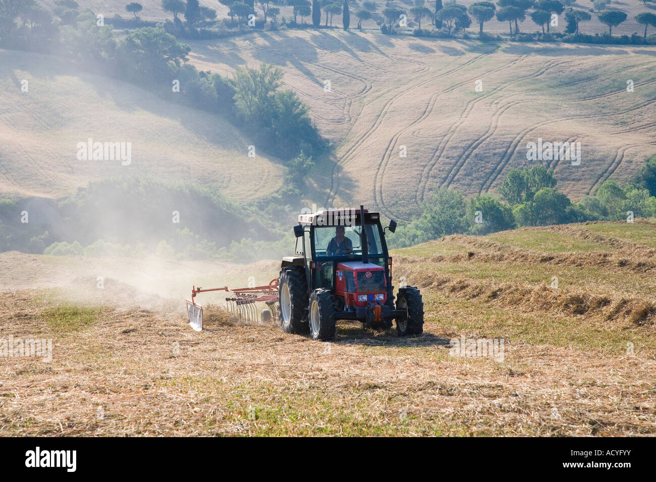 Italian Farming Landscape Fiatagri Farm tractor Haymaking using tedder ...