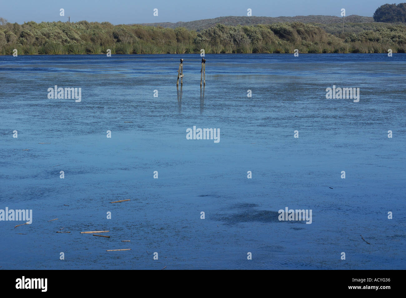 Oso Flaco Lake Stock Photo - Alamy