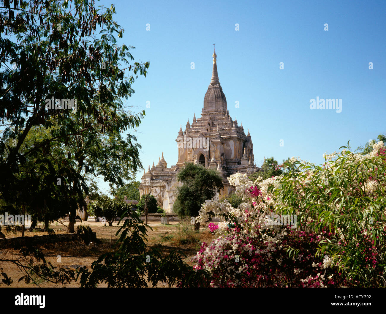 Myanmar Pagan Gawdawpalin Temple Stock Photo - Alamy