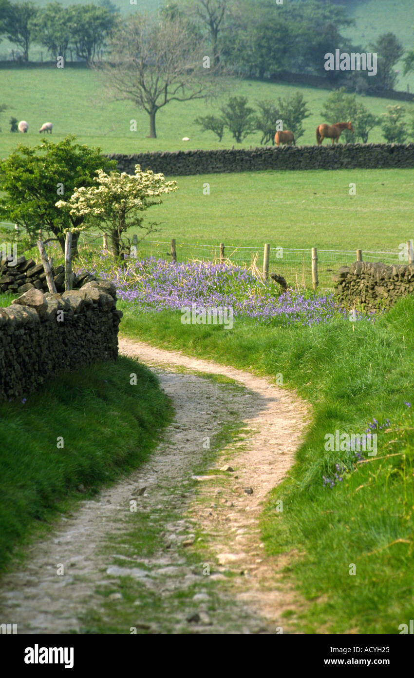 Cheshire country lane hi-res stock photography and images - Alamy