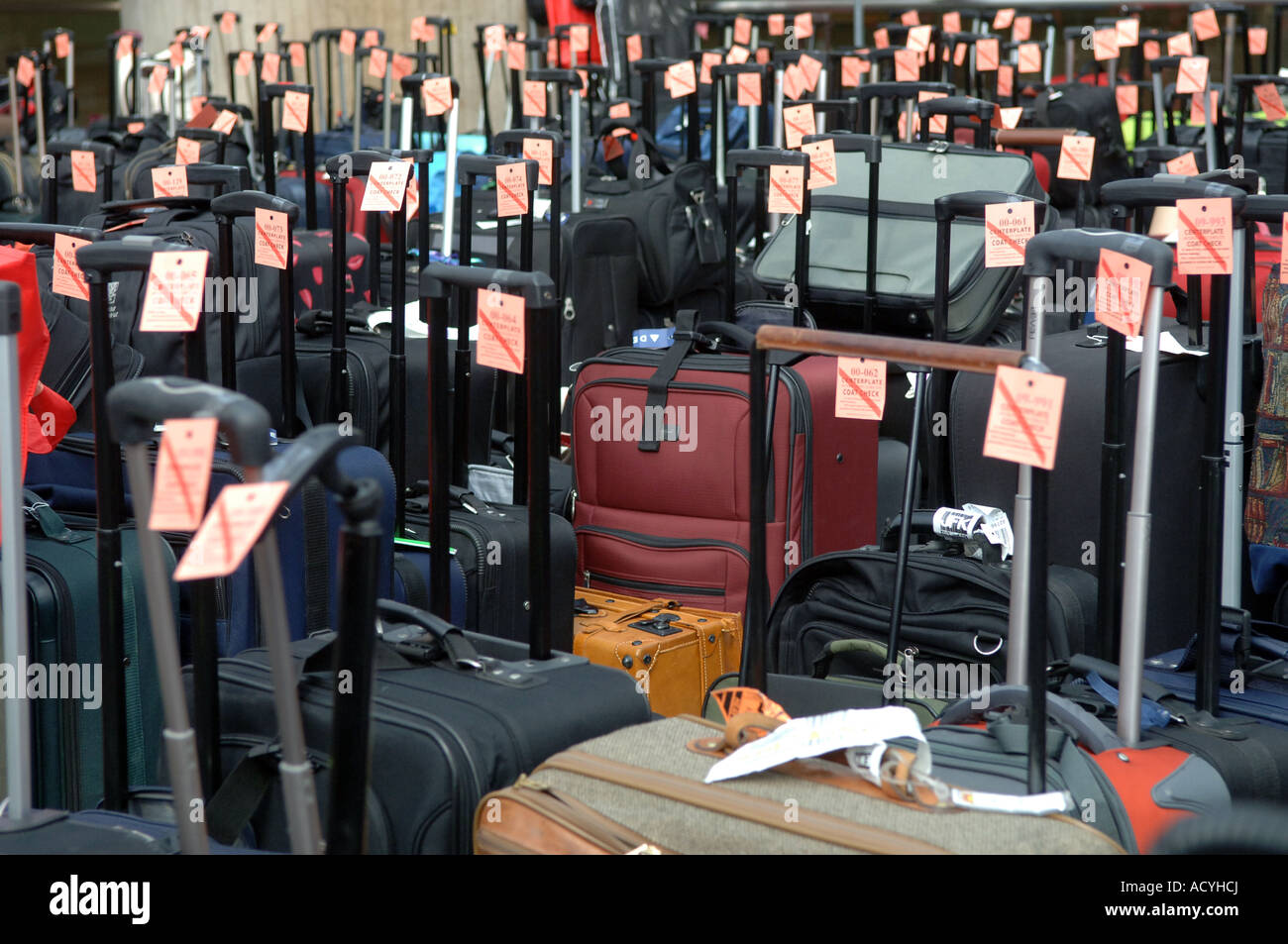 Check in meetings hi-res stock photography and images - Alamy